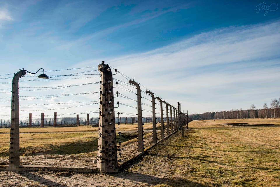 Museo Auschwitz-Birkenau: Tour guiado desde Cracovia | GetYourGuide