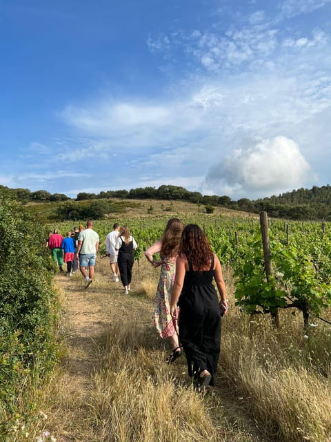 Spaziergang durch unseren Weinberg und Aperitif | GetYourGuide