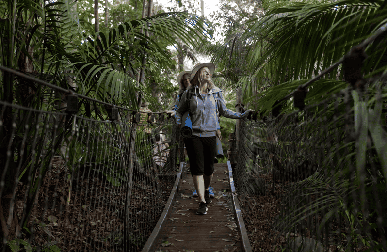 Zen In The Zoo | GetYourGuide