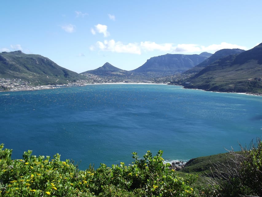 Private full day Table mountain,Cape point &City tour | GetYourGuide