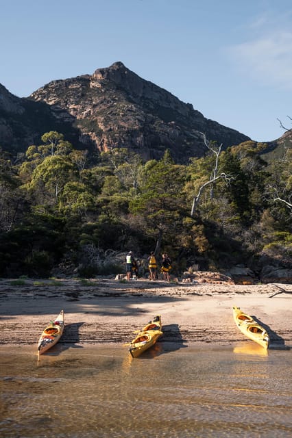 The Freycinet Paddle Kayak Tour | GetYourGuide