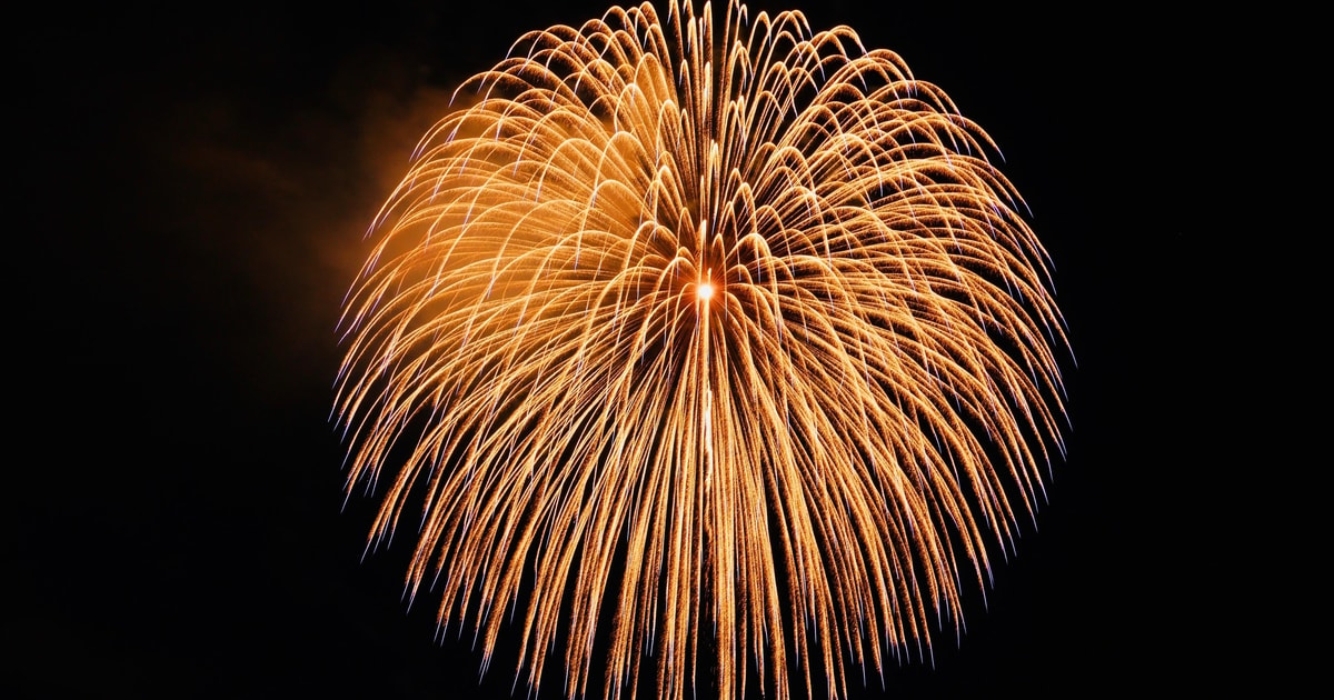 Nishikigoi and Special Katagai Fireworks Viewing Tour | GetYourGuide