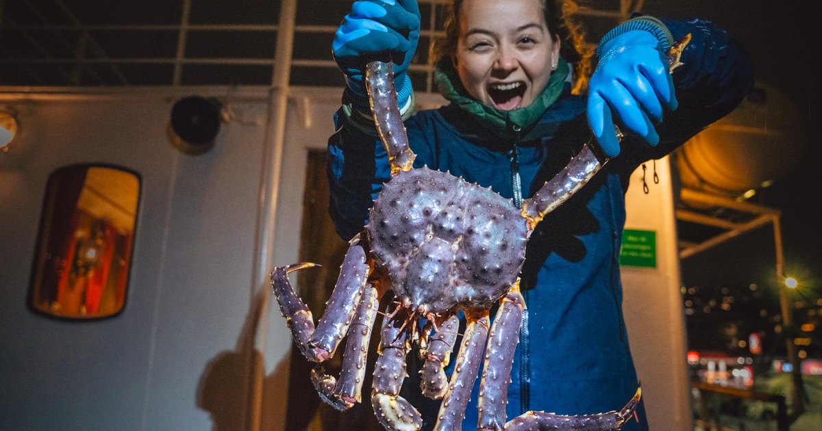 Tromsø: Arctic king crab cruise with self-captured lunch | GetYourGuide