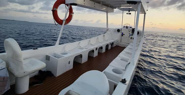 From Cozumel: Double Tank Scuba Diving for Certified Divers | GetYourGuide