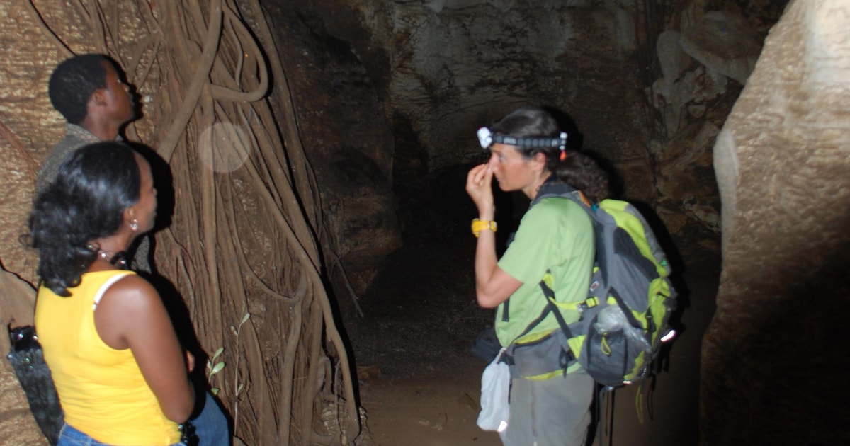 Tanga: Amboni-Höhlen, Pangani & historische Küste Tagestour | GetYourGuide