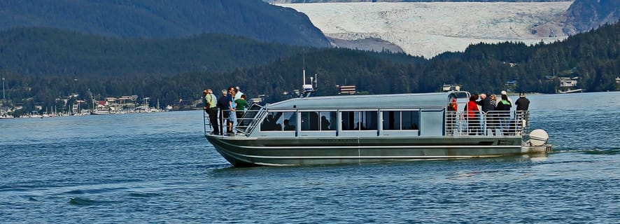 Dolphin Jet Boat Tours | GetYourGuide-Anbieter