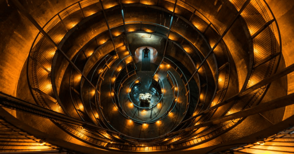 From Auckland: Waitomo Caves and Kiwi House Group Tour | GetYourGuide