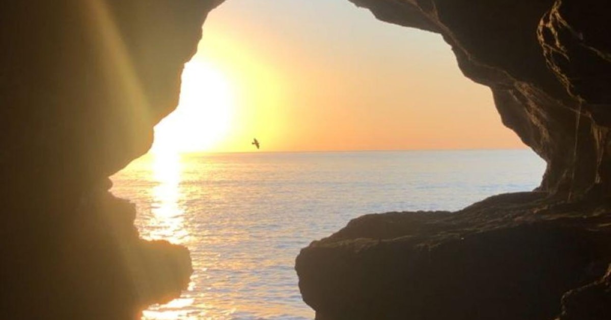 private tour: Day Trip From Gibraltar To tangier | GetYourGuide