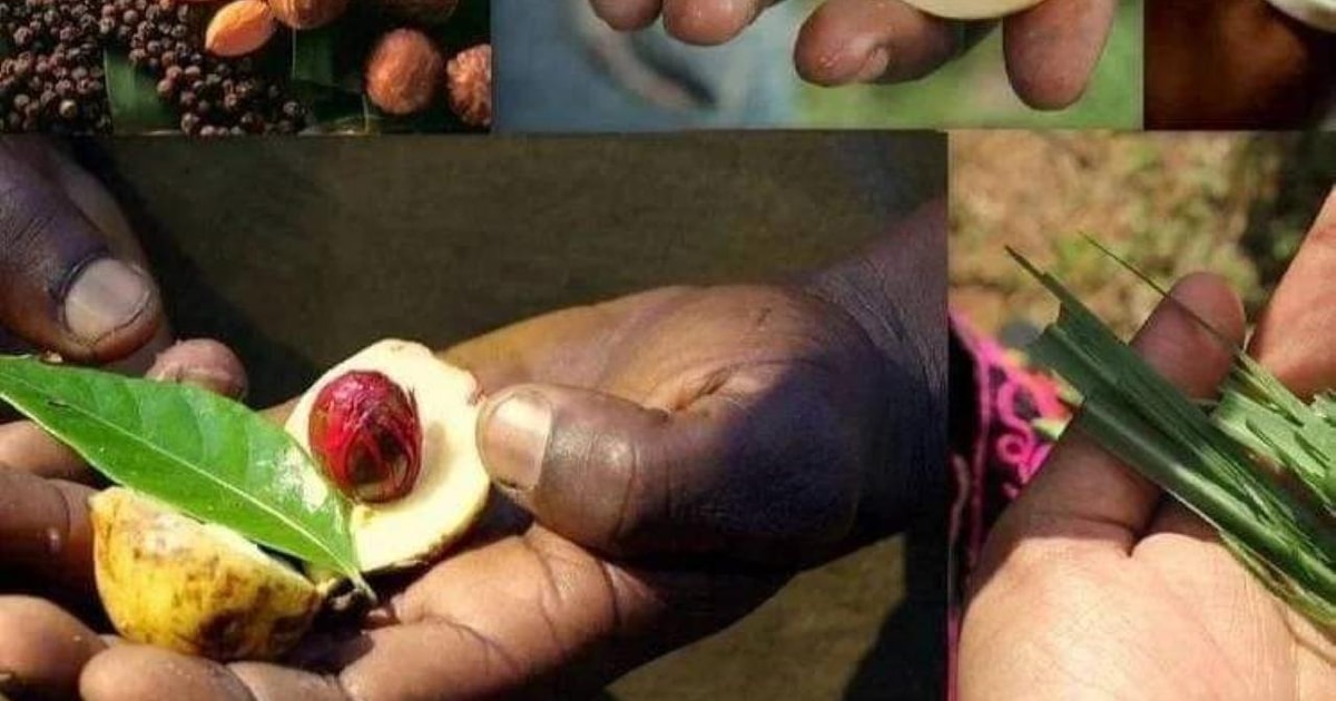 Zanzibar: Spice Tour & Stone Town Walking Tour | GetYourGuide