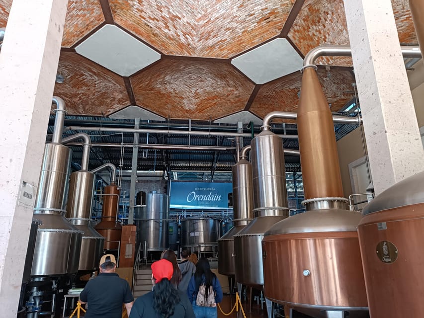 Five-star factory: Meet Orendain tequila. | GetYourGuide