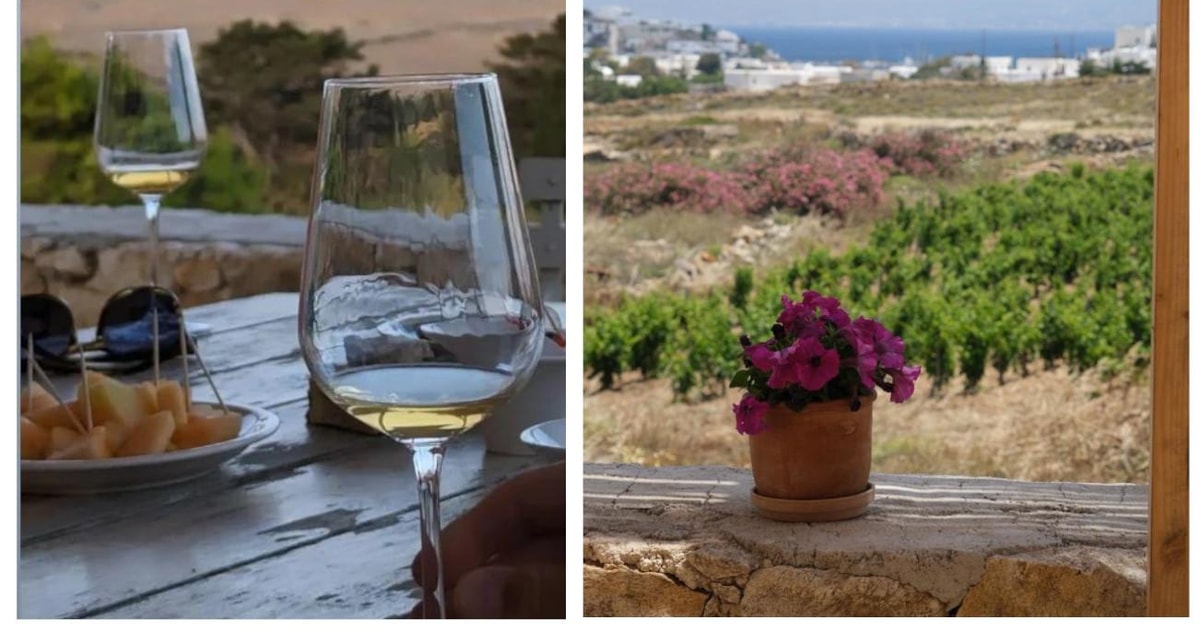 Paros: Wine tasting at Local Winery | GetYourGuide