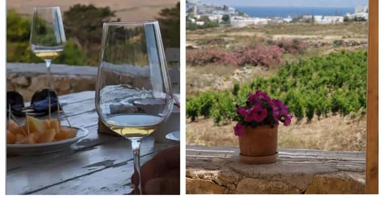 Paros : Wine tasting - Natural wine | GetYourGuide