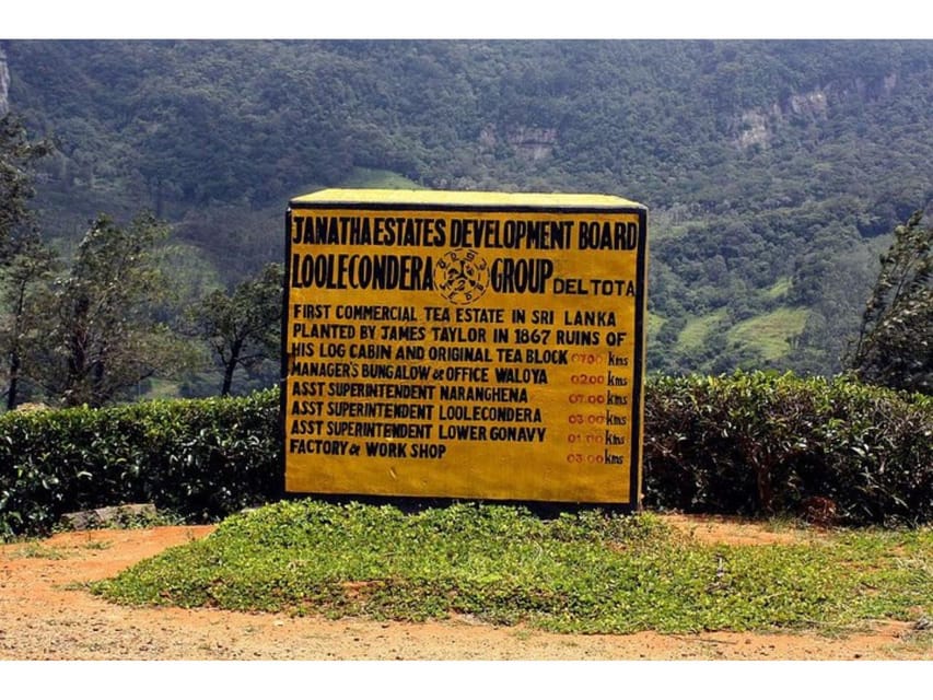 From Kandy: James Taylor’s Tea Tour (The Tale of Ceylon Tea) | GetYourGuide