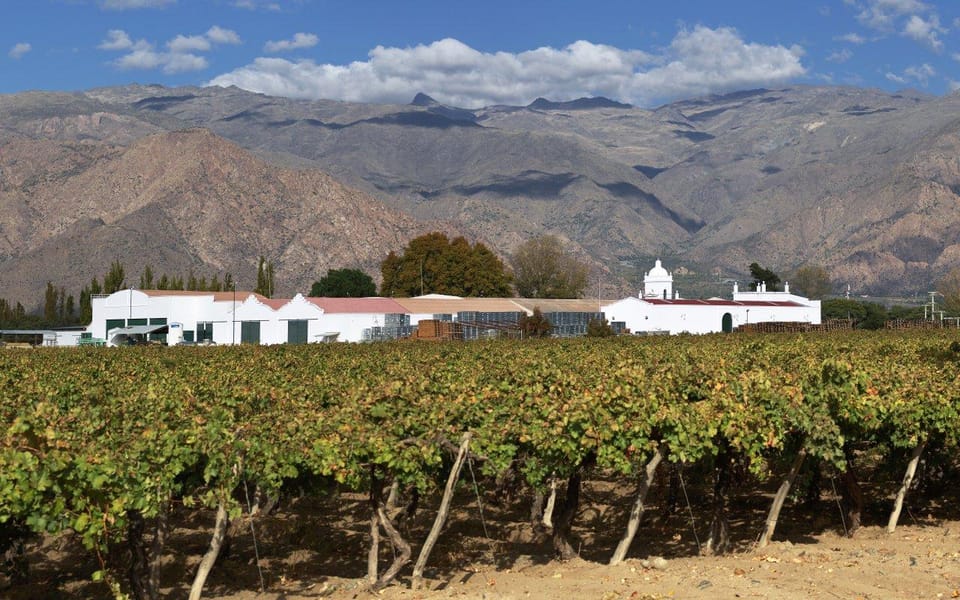 Desde Salta: Cafayate, tierra de vinos e imponentes quebradas ...