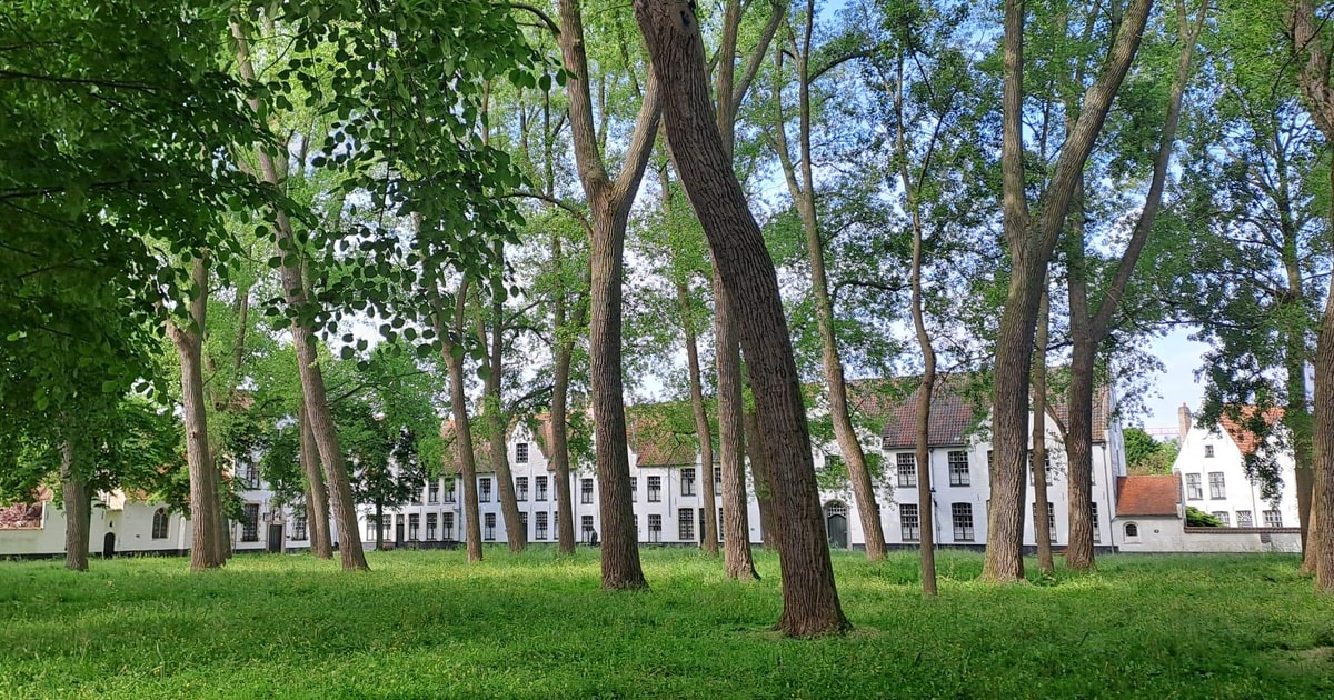 Brugia - najważniejsze atrakcje, ukryte skarby i czekoladowa wycieczka ...