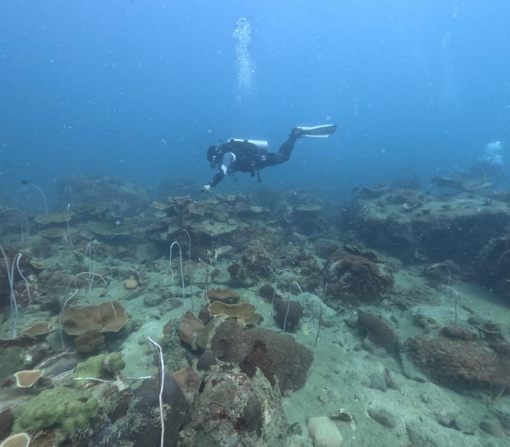 Phu Quoc: Tour scuba diving - Dive deep - Explore deeper | GetYourGuide