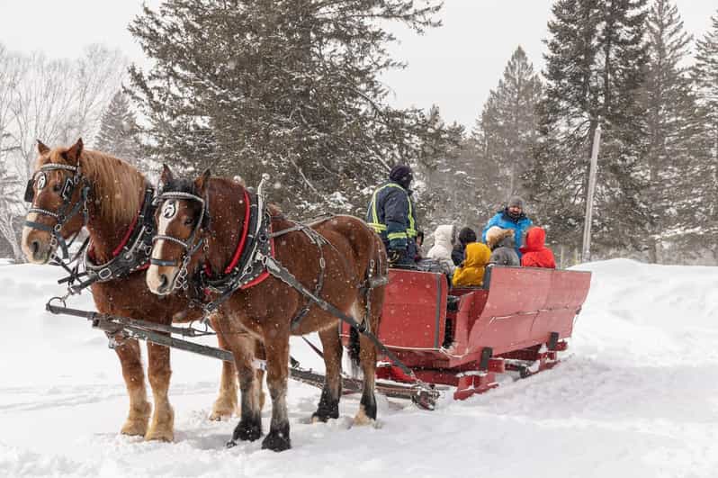 Mont-Tremblant : Promenade en traîneau avec contes et chocolat chaud ...
