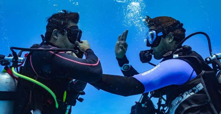 Playa del Carmen: Rolig dykupplevelse för certifierade dykare ...