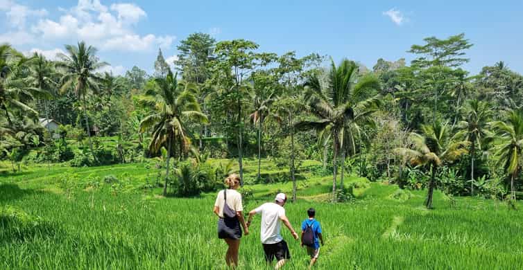 Pusuk Monkey Forest, Lombok - Book Tickets & Tours | GetYourGuide