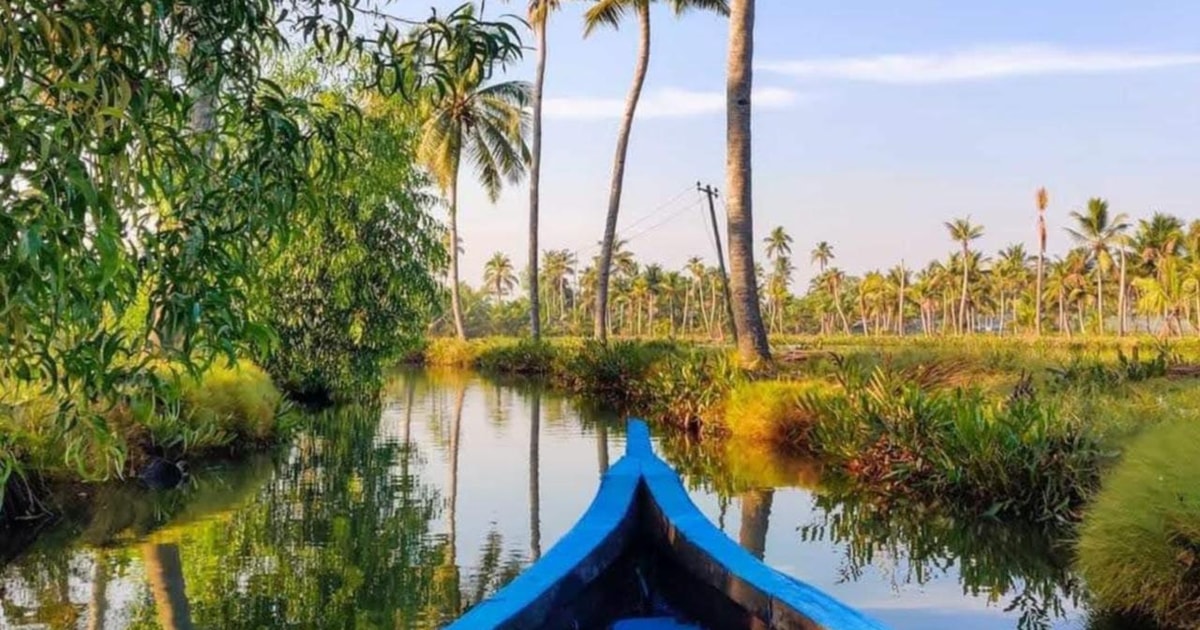 Kochi: Backwater Exploration in Village: Private Abholung. | GetYourGuide