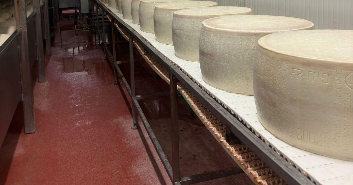 Parmesan, Wine, Balsamic Full Day Tour with Light Lunch | GetYourGuide