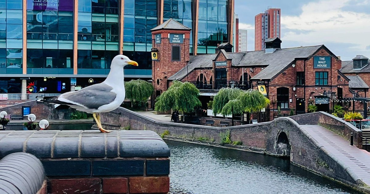 Birmingham Historical Tour | GetYourGuide