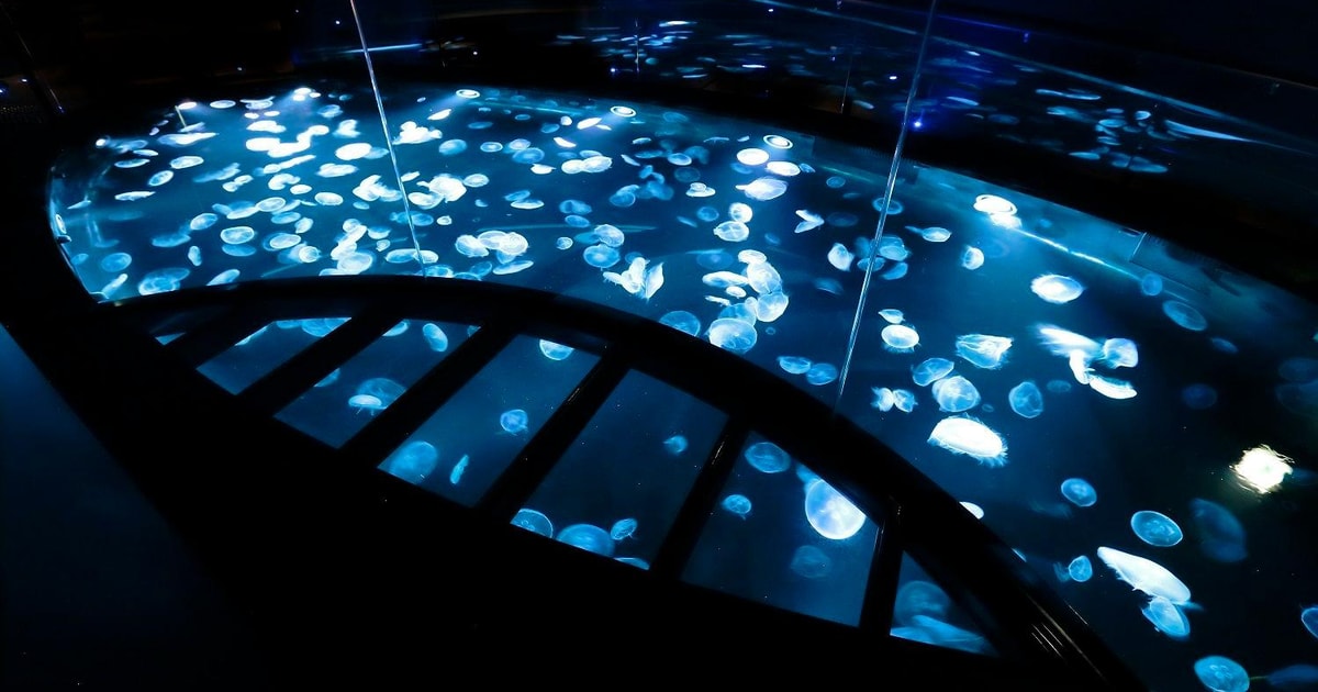 Tokio Ticket de entrada al Acuario Sumida | GetYourGuide