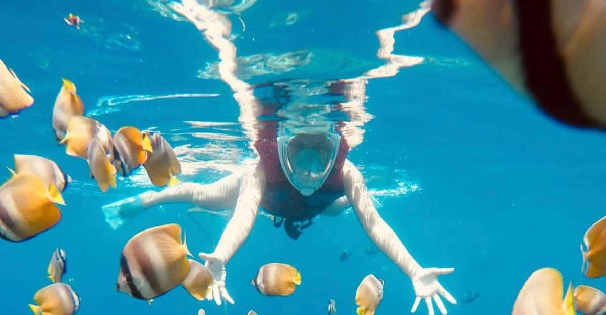 Bali: snorkelavontuur op het strand van Amed, Jemeluk en Lipah ...