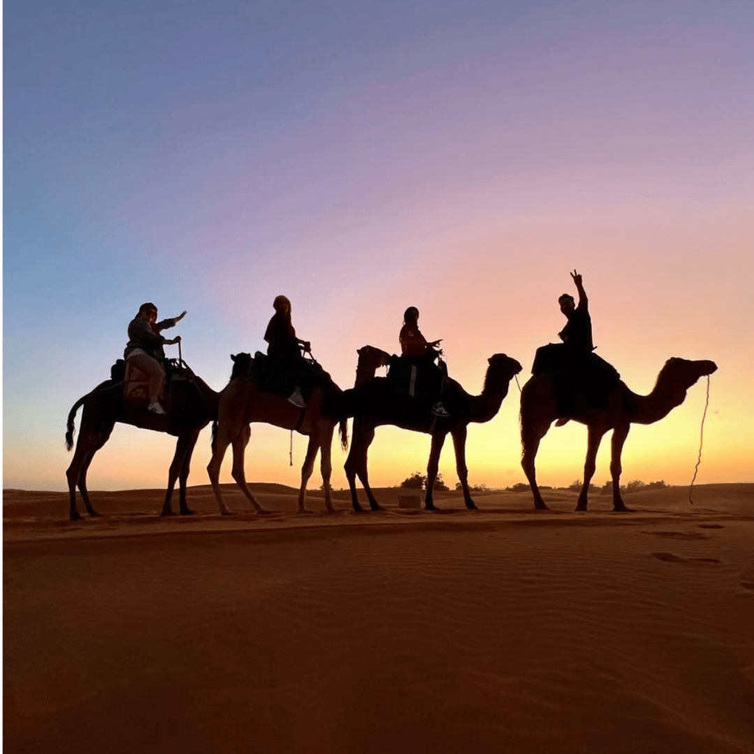 Da Marrakech: tour di 3 giorni nel deserto con giro in cammello e ...