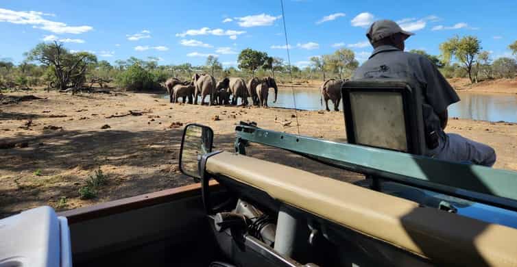 Sunset Drive & Bush Dinner | Big 5 Game Reserve (HOEDSPRUIT) | GetYourGuide