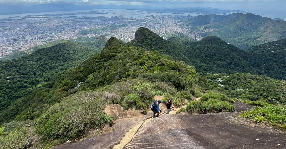 Vandring til Rios højeste bjerg med en skovspecialist | GetYourGuide