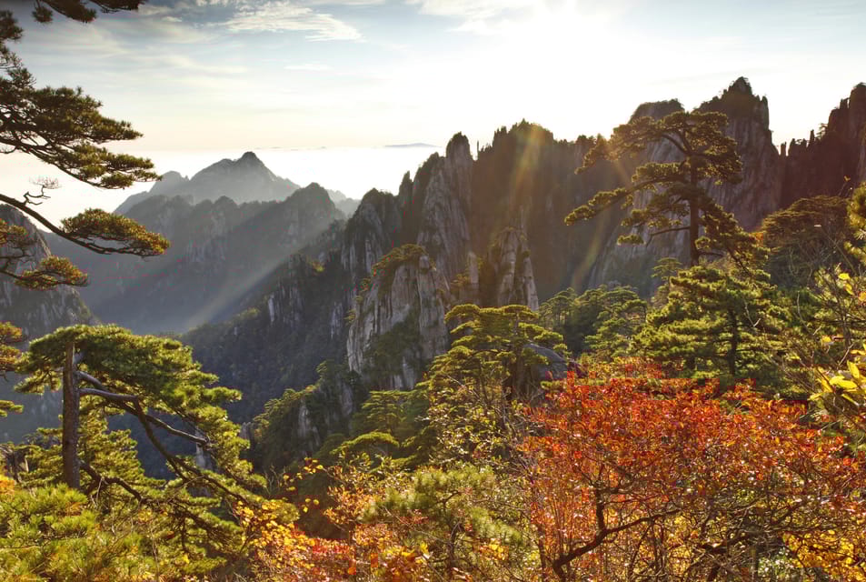 Huangshan：the Essence Route of Huangshan Backside Day Trip | GetYourGuide