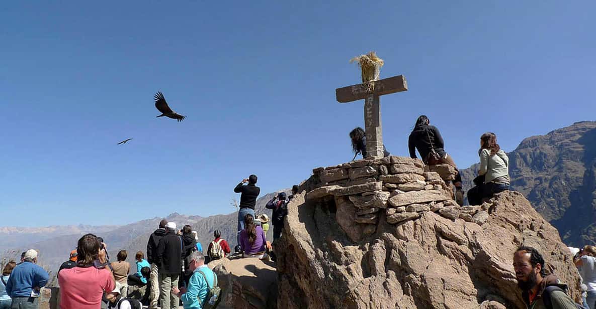 From Arequipa: Colca Canyon and Puno Bus Tour | GetYourGuide