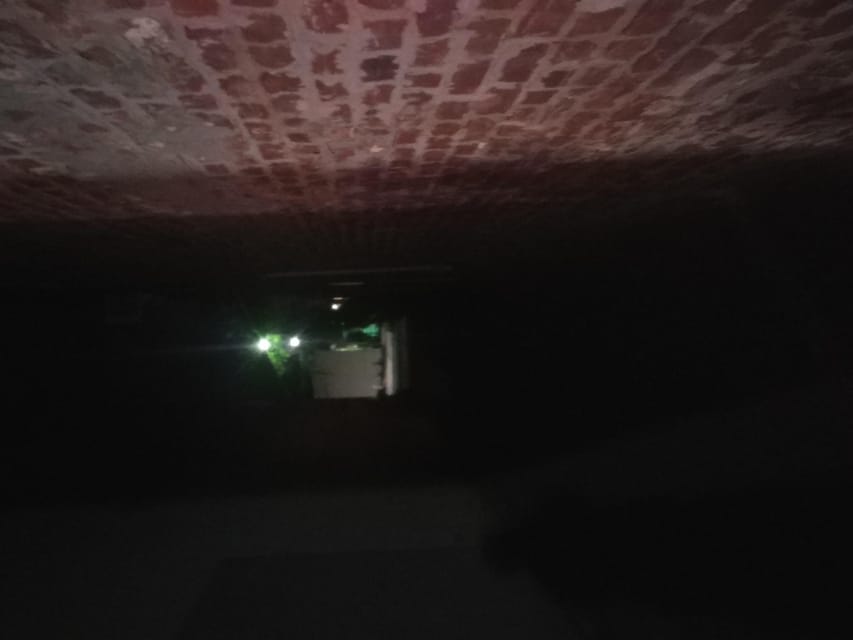 Haunted Charleston Ghost Tour - A Spectral Adventure! | GetYourGuide