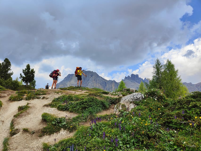 Explore the Dolomites, a hiking day in the mountains | GetYourGuide