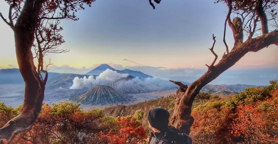Mount Bromo Sunrise and Madakaripura Waterfall 1 Day Tour | GetYourGuide