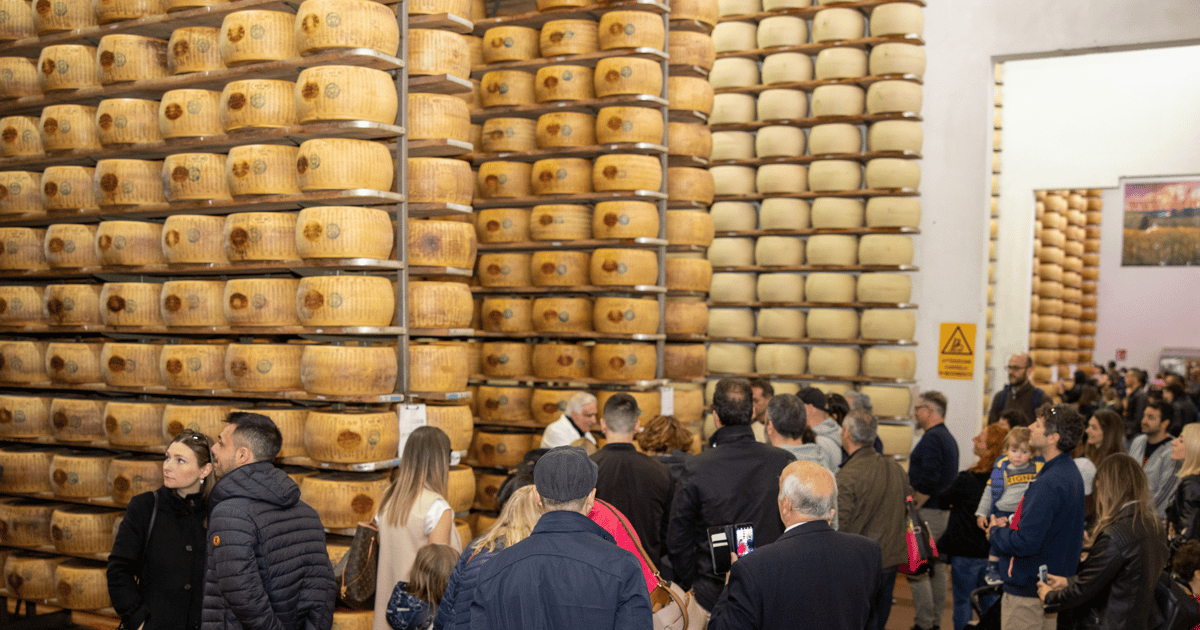 Parmesan Cheese Factory Tasting and Tour near Modena | GetYourGuide