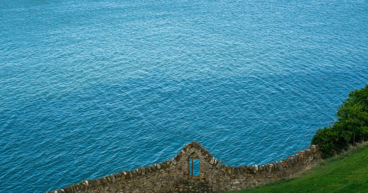 Dublin: Nature & Hiking in Howth (Walking Tour) | GetYourGuide