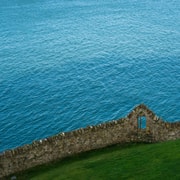 Dublin: Nature & Hiking in Howth (Walking Tour) | GetYourGuide