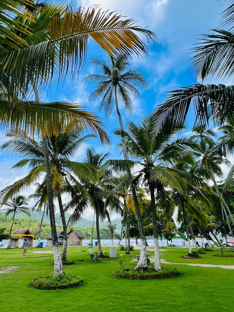 Mamey Island Private tour From Panama City | GetYourGuide