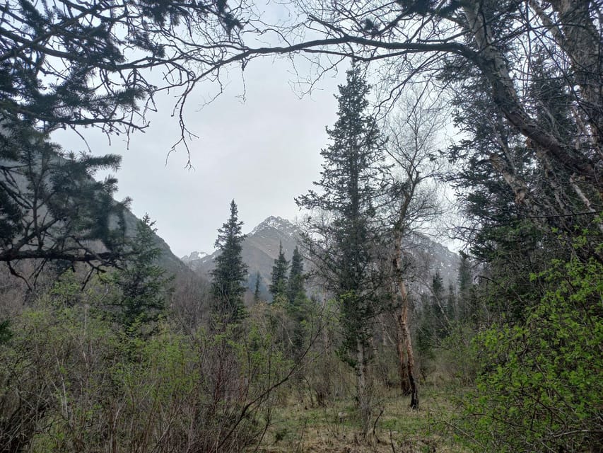 Bishkek City Tour and Ala-Archa National Park | GetYourGuide