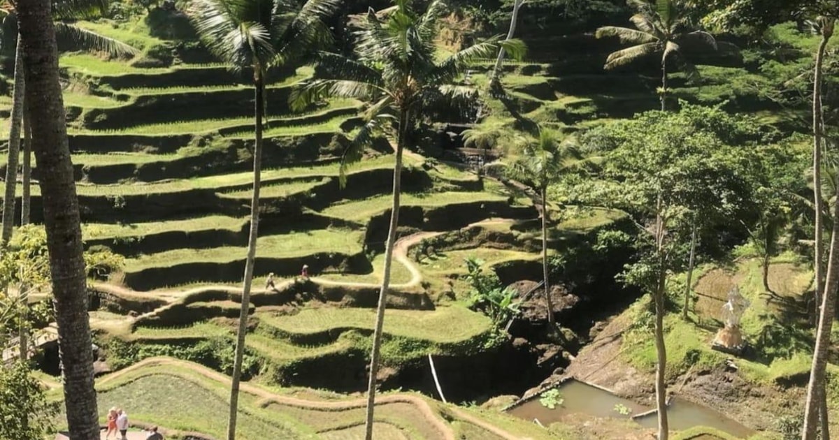 Ubud: explore hidden part of middle bali | GetYourGuide