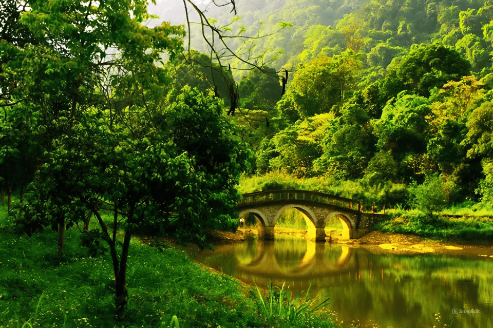From Hanoi: Watching Wild Animals In Cuc Phuong Forest | GetYourGuide