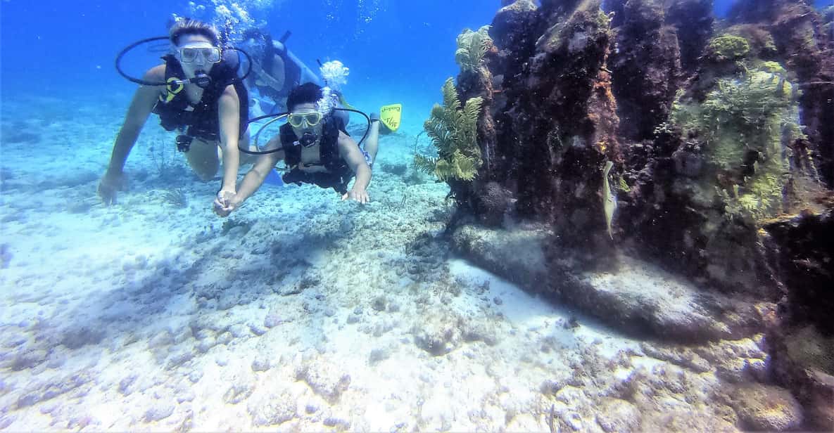 Cancun: 2-Tank Dive for Beginners with MUSA and Reef Dive | GetYourGuide