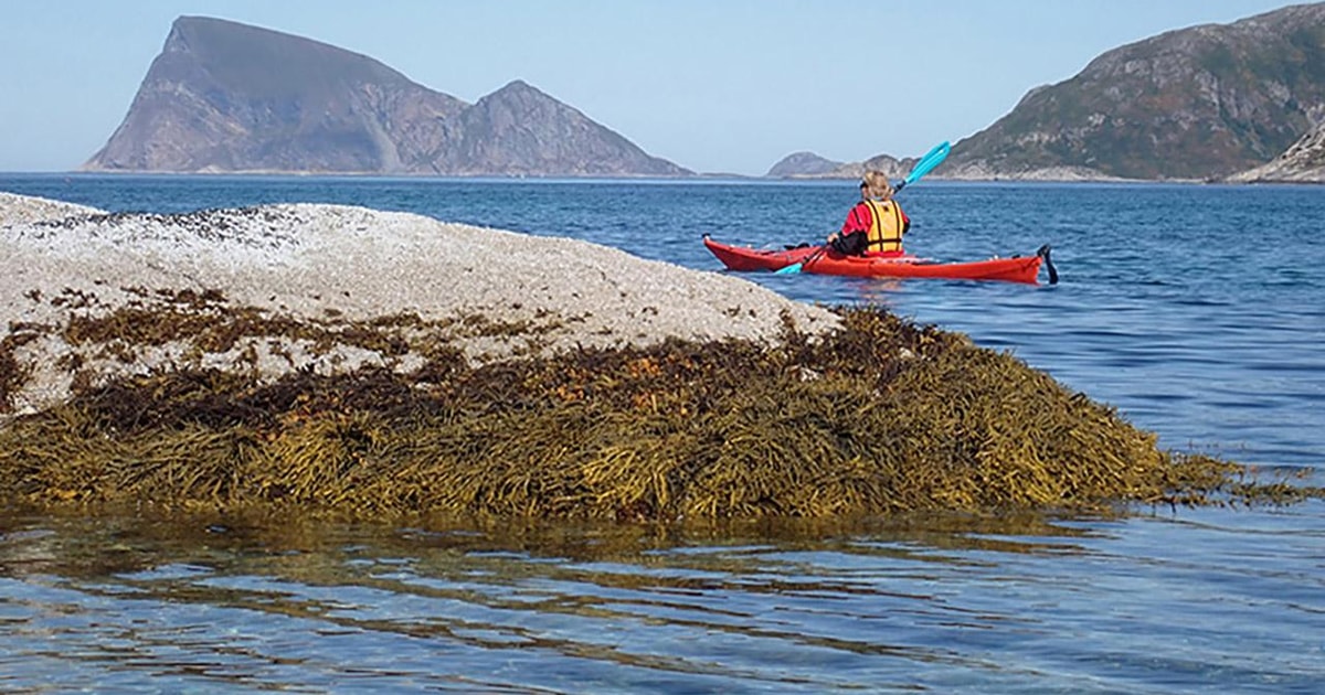 Au départ de Tromsø : Excursion en kayak de mer à Sommarøy avec ...