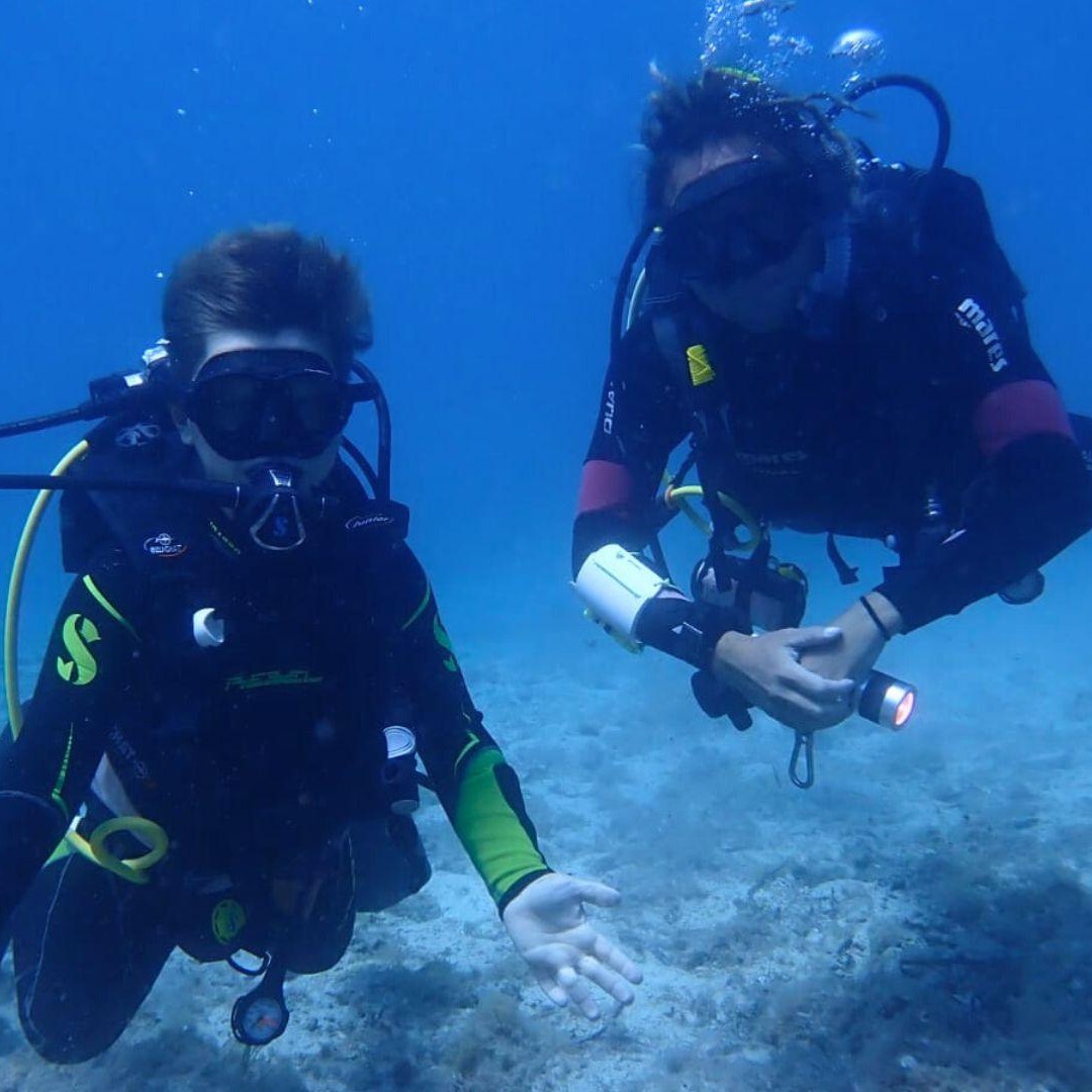 Sardinia: Diving Baptism Experience at Argentiera beach | GetYourGuide