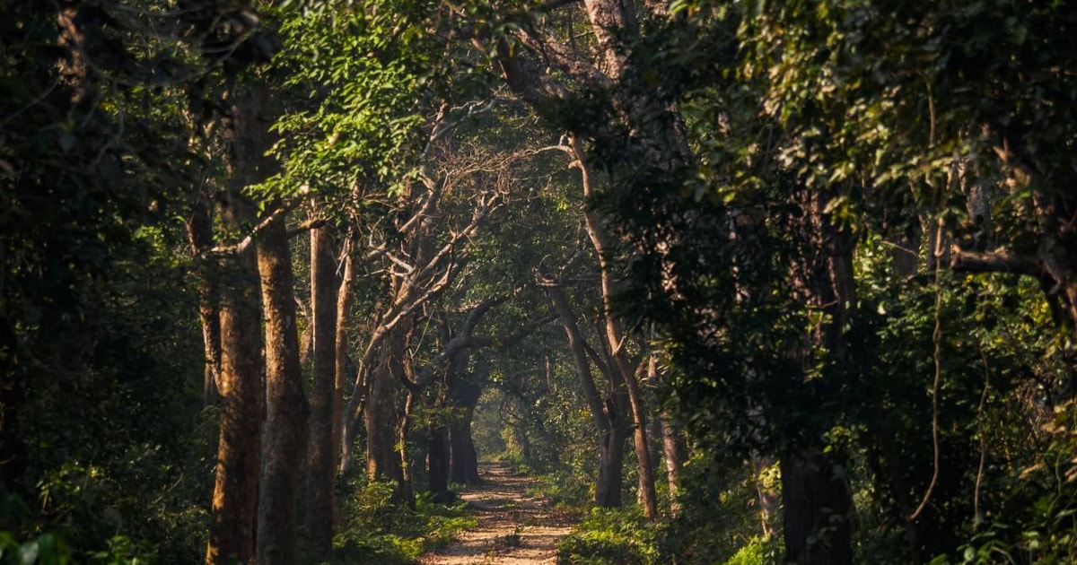 Godawari Hike | GetYourGuide