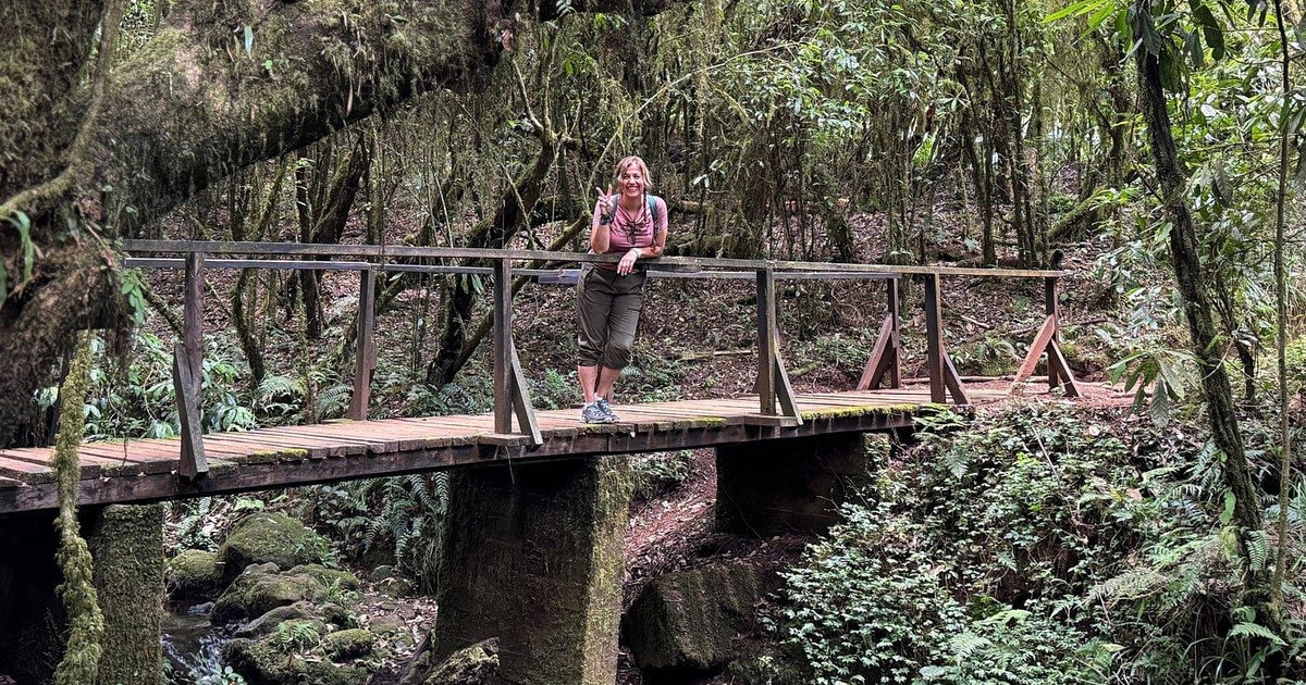 2-Day Into Nature; Kilimanjaro Trekk to Mandara Hut | GetYourGuide