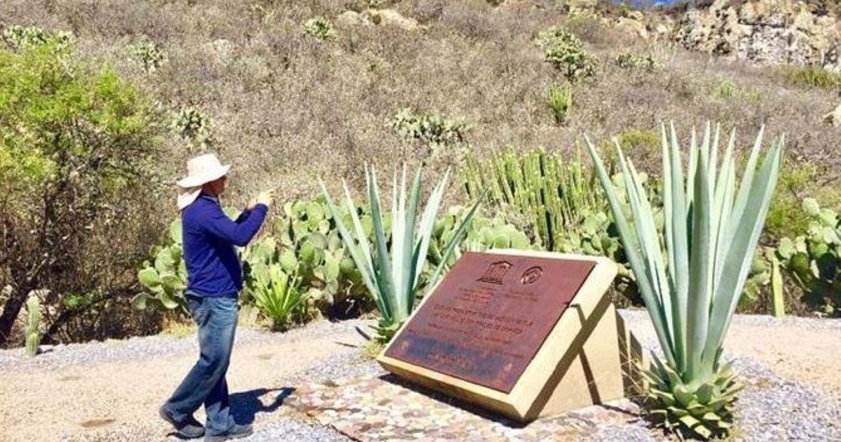 Oaxaca: Exclusive Private Yagul UNESCO Heritage Site Tour | GetYourGuide