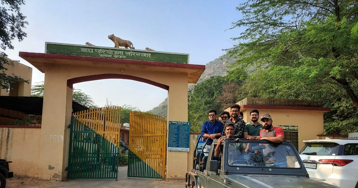 Sariska : Online Safari Booking, Bala Quila Safari | GetYourGuide